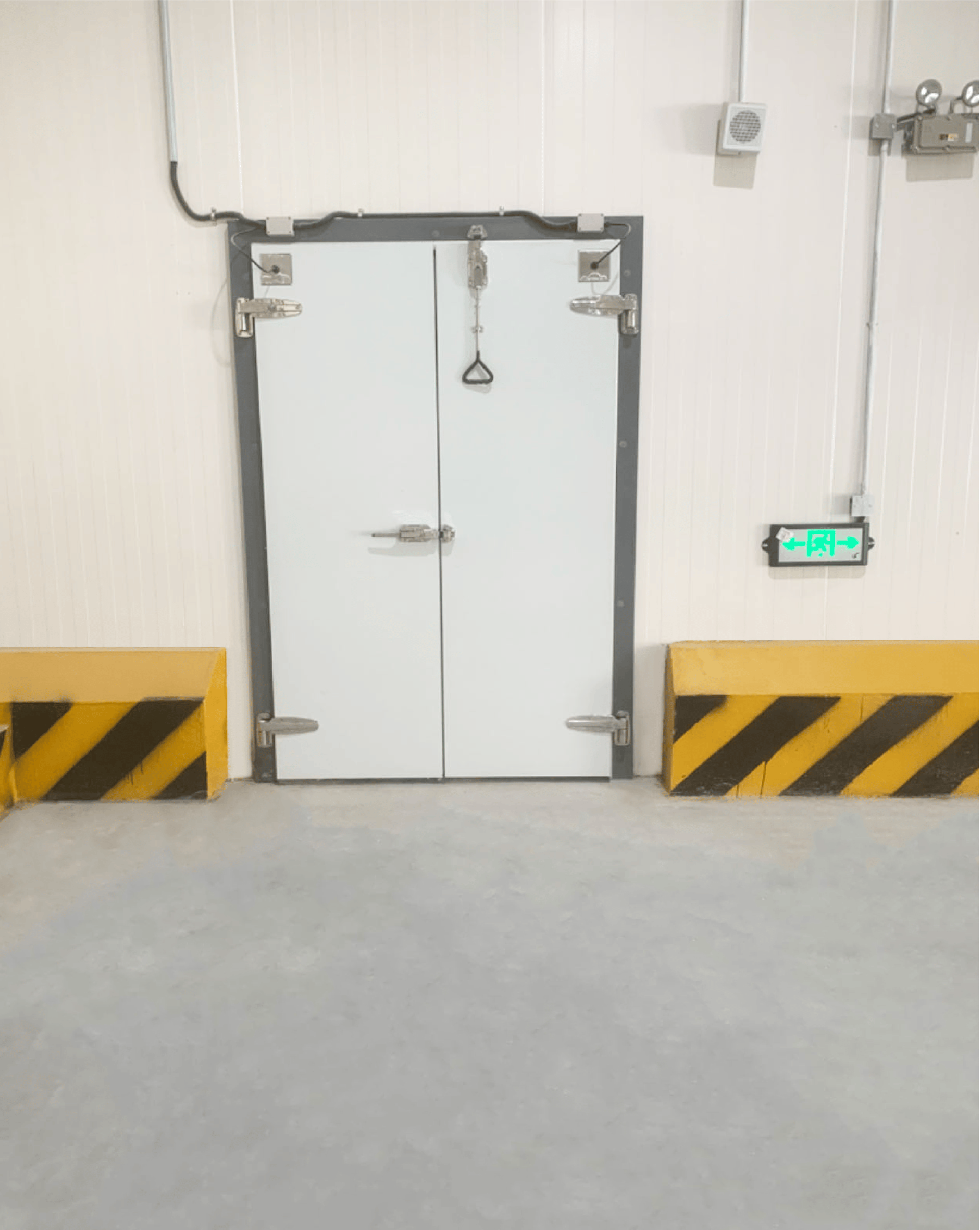 Project-Cold Storage Doors